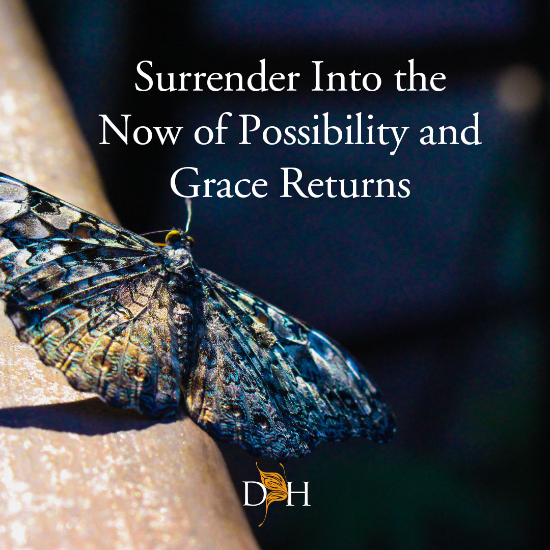 From Suffering to Surrendering; Finding Grace as We Approach Passover ...
